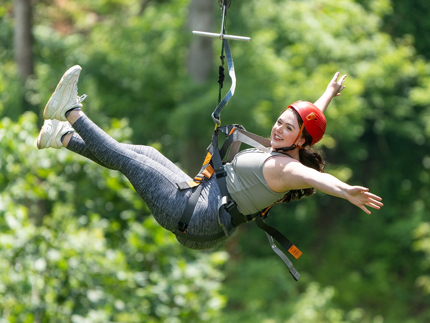 Adventure Park at Five Oaks Zipline & Horseback Tours